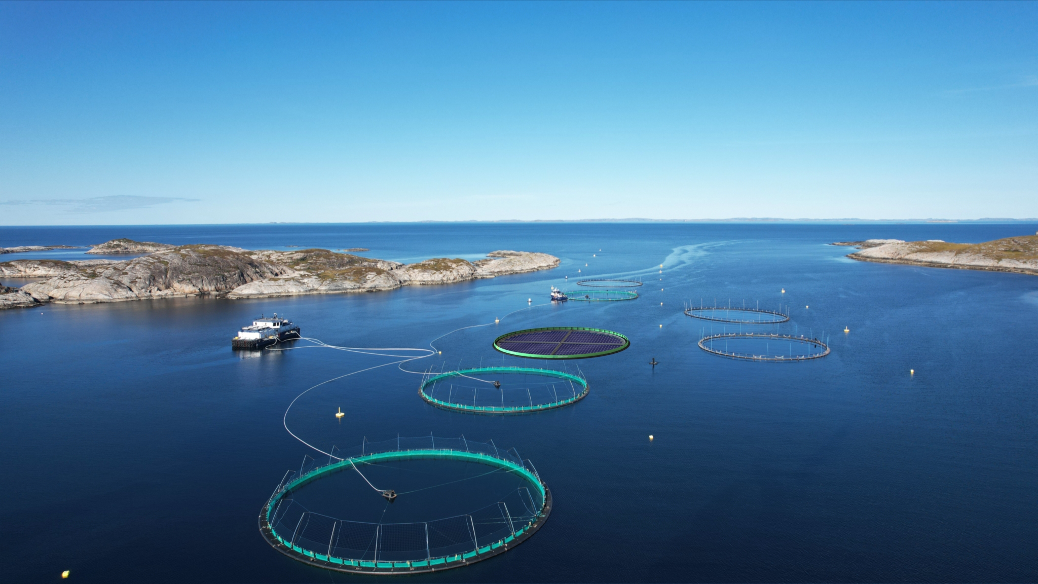 Bjørøya AS tar i bruk solenergi fra Inseanergy | Bjørøya